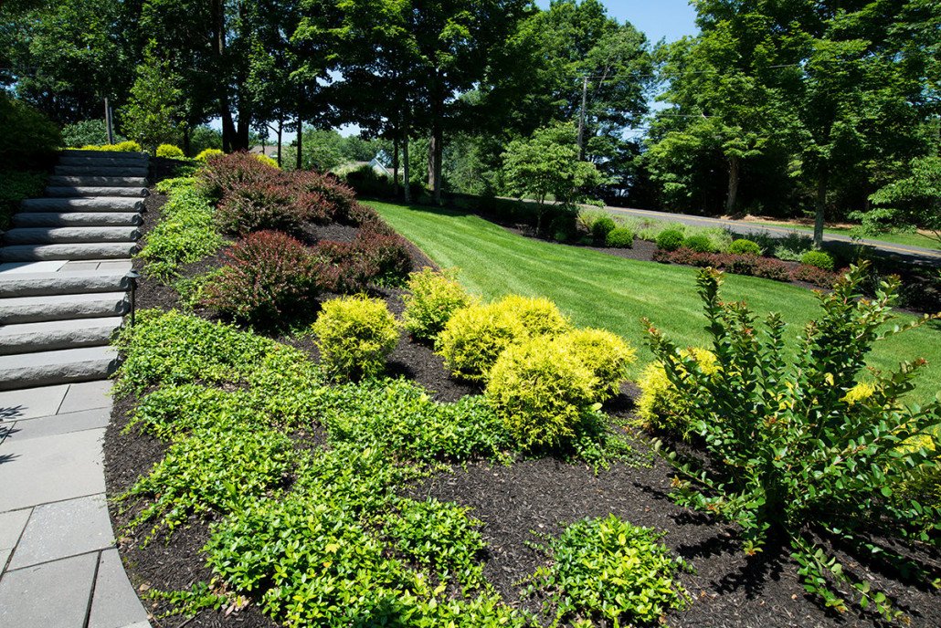 Integrated Landscape Management, LLC | Portfolio