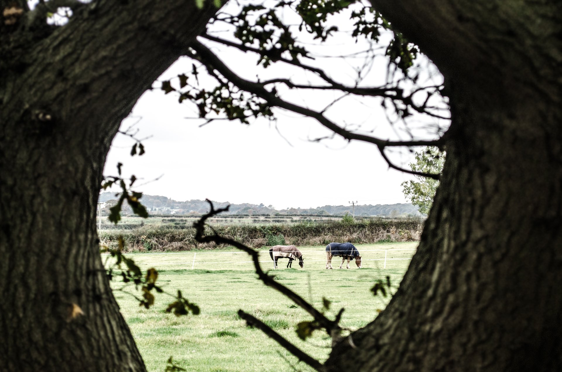 Some images of The Fox & Hounds and the surrounding countryside