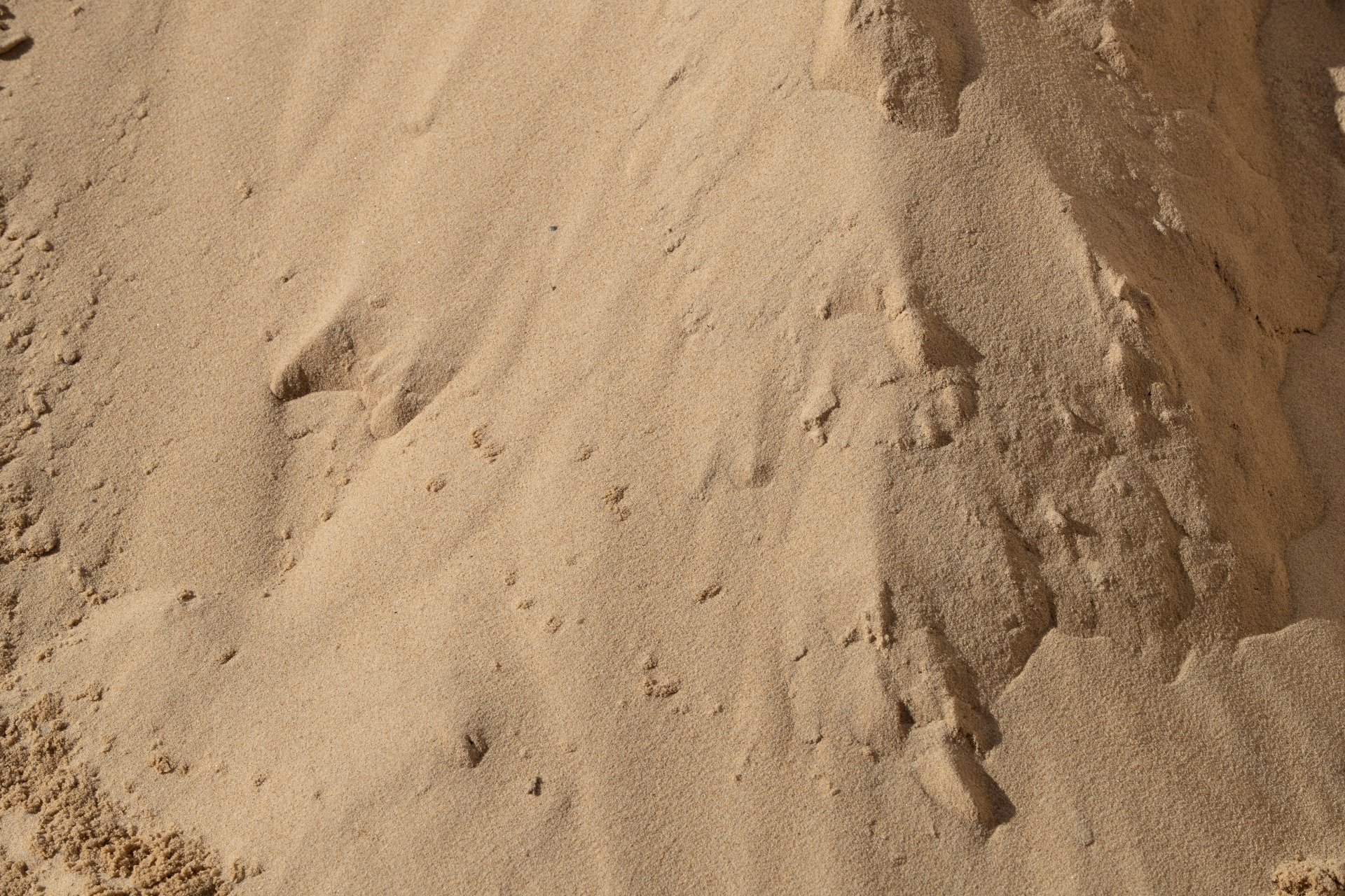 Sands | Waratah Supplies