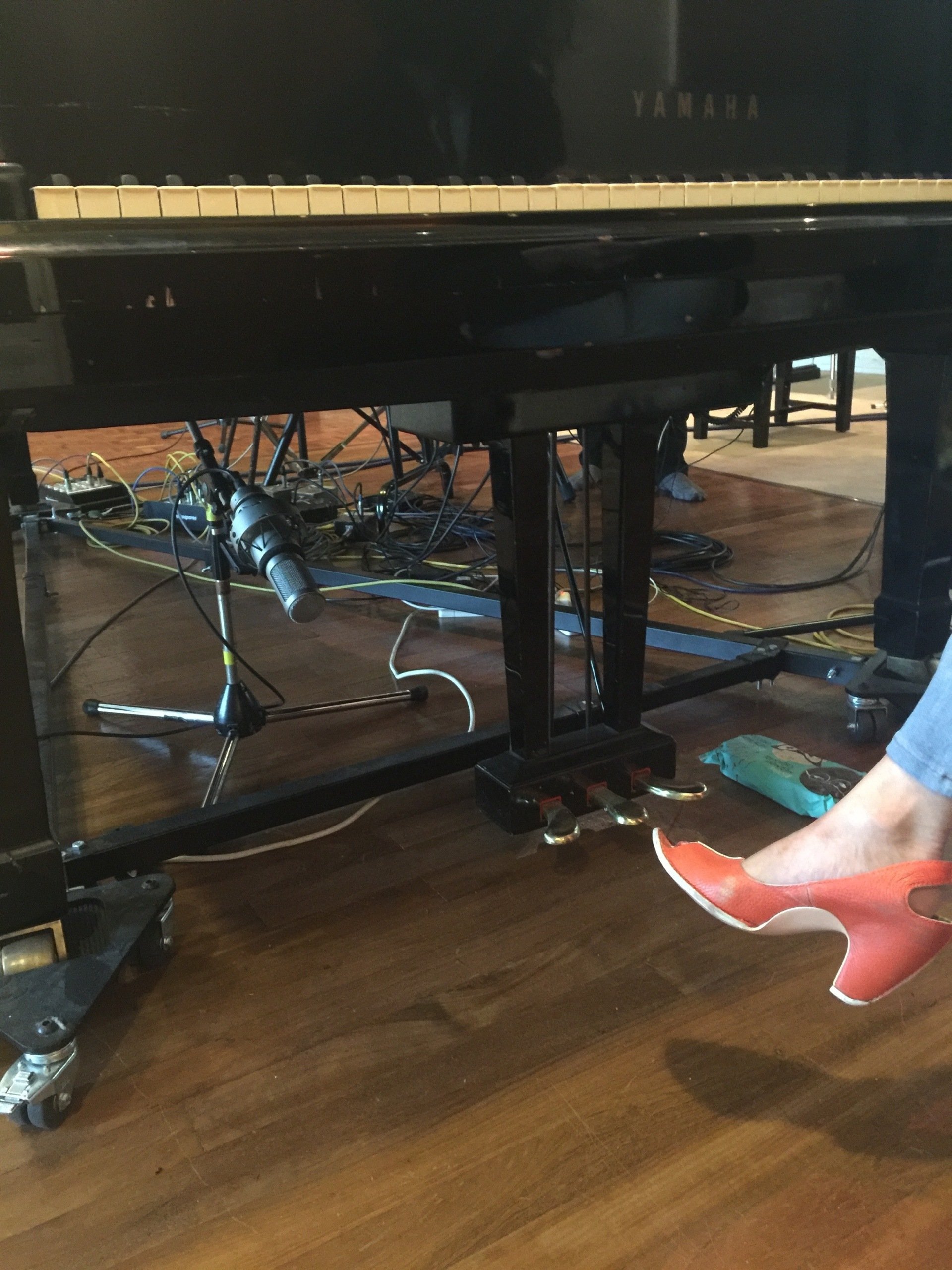 PRICE ATTRACTIONS | By Arrangement with Jack Price