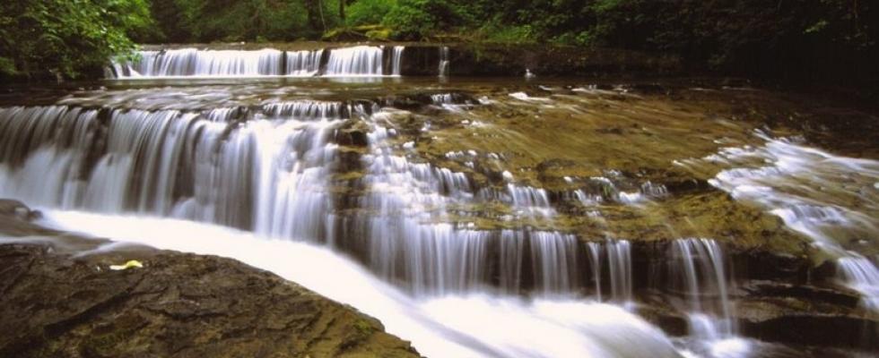 Grant Reports | Three Rivers Foundation