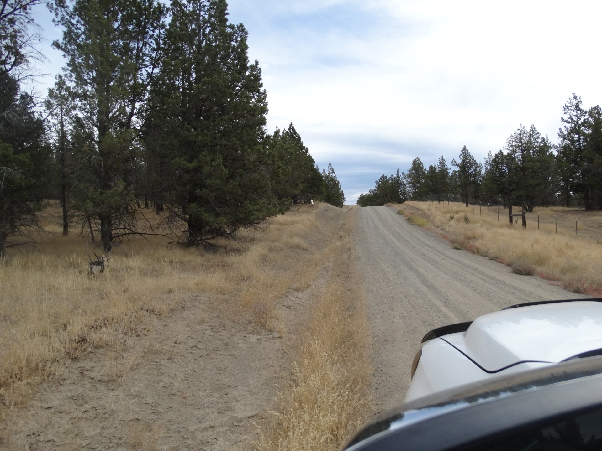 Rural Land for Sale | Undeveloped Property | Modoc Recreational Estates