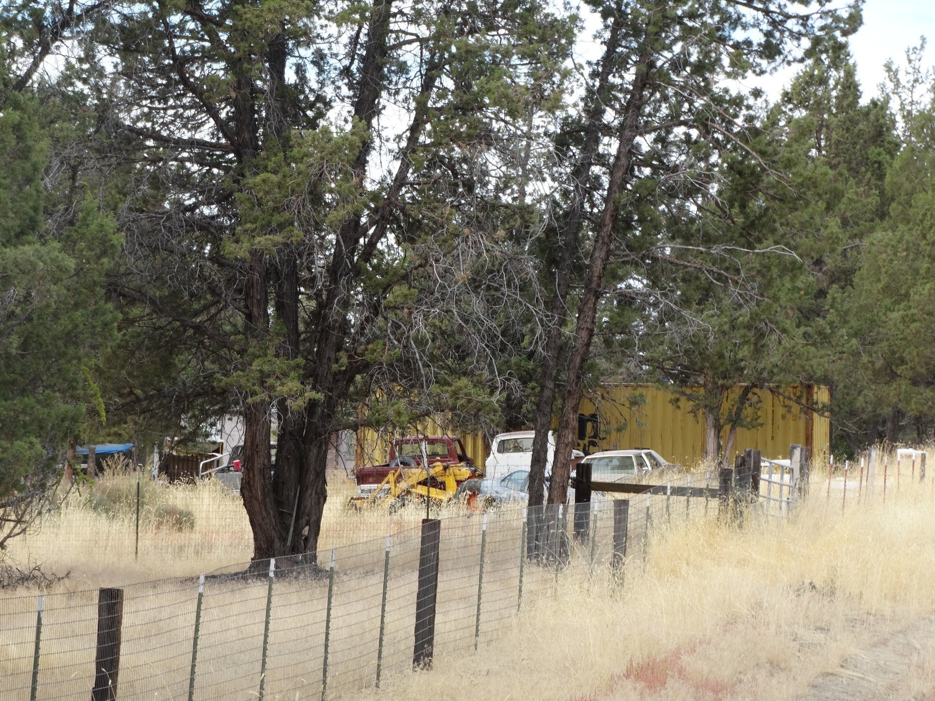 Rural Land for Sale | Undeveloped Property | Modoc Recreational Estates