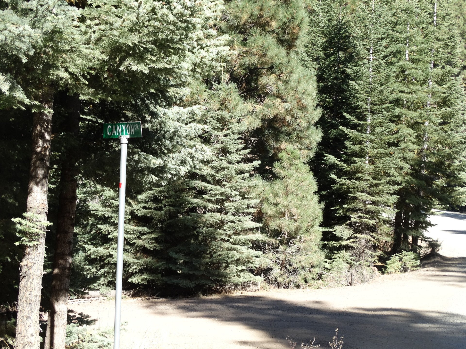 Rural Land for Sale | Undeveloped Property | California Pines | Modoc