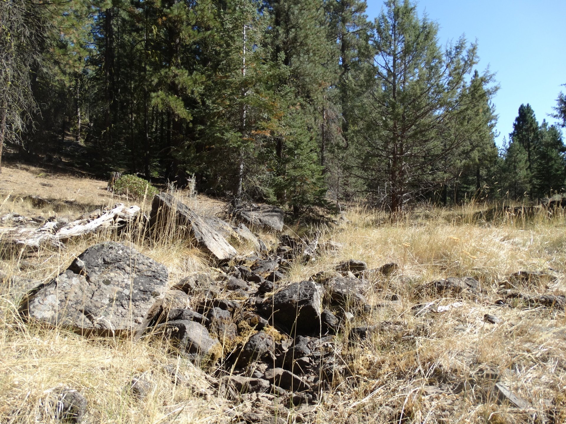 Rural Land for Sale | Undeveloped Property | California Pines | Modoc