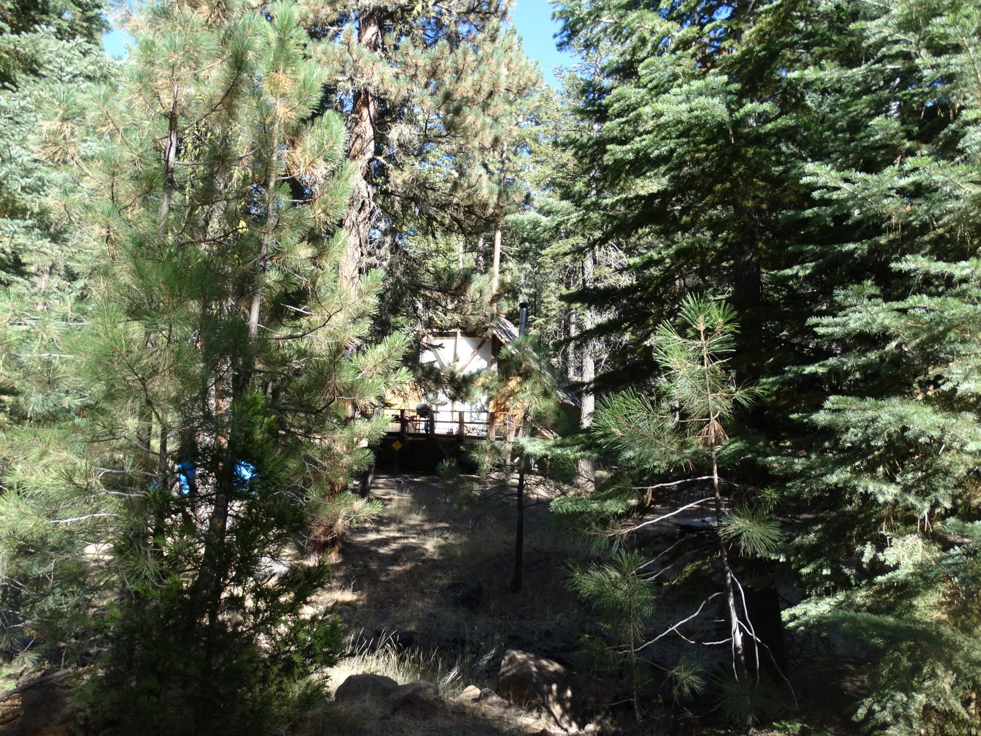 Rural Land for Sale | Undeveloped Property | California Pines | Modoc