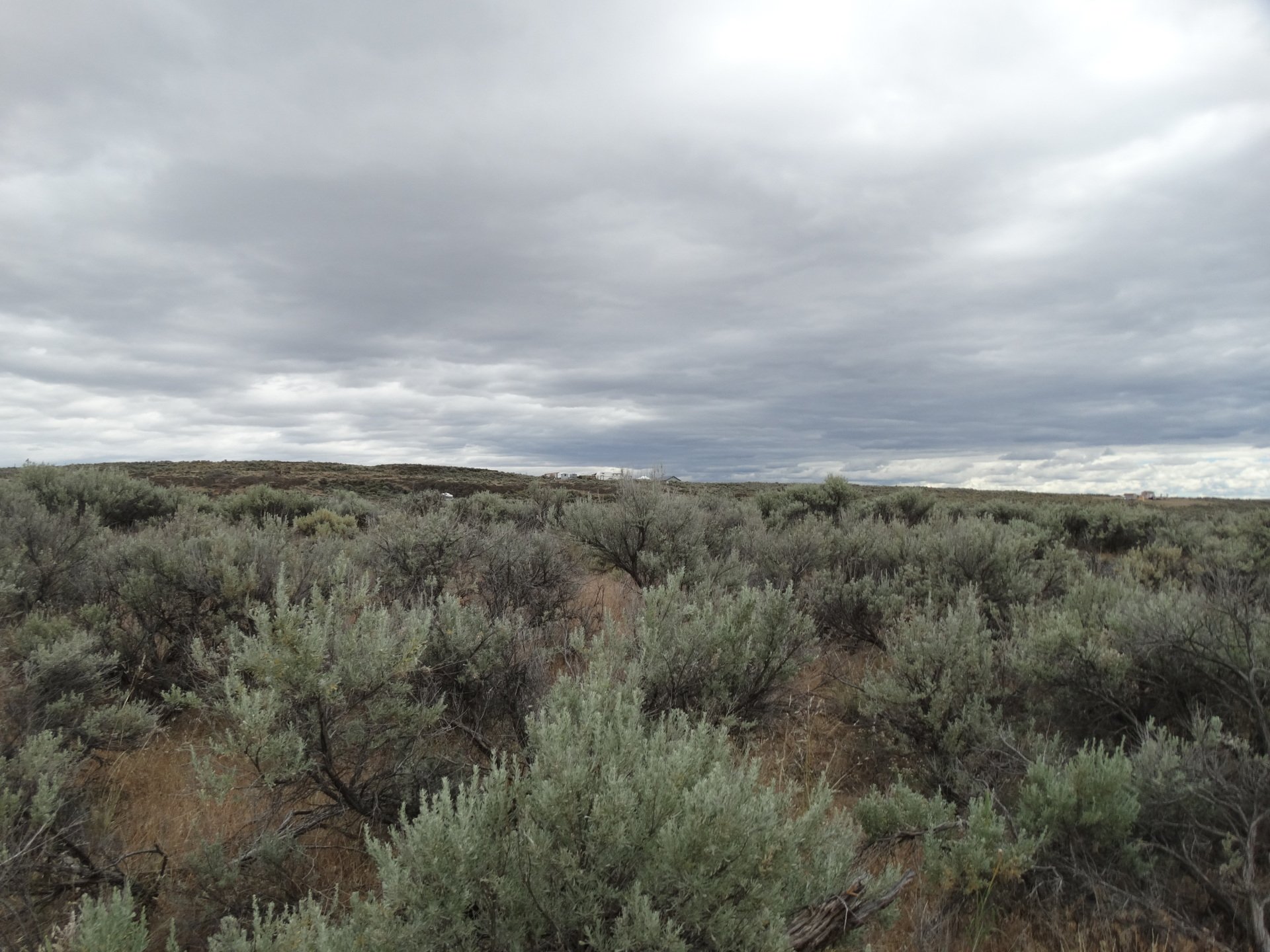 Washington Land for Sale | Cheap land for sale | Rimrock Meadows