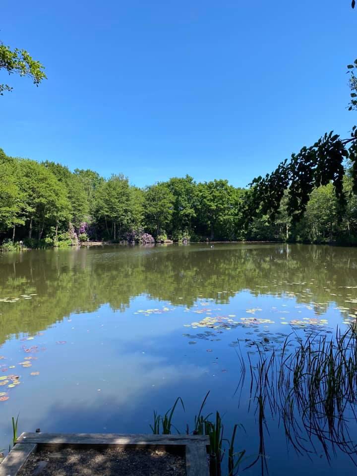 Our own fishing lake