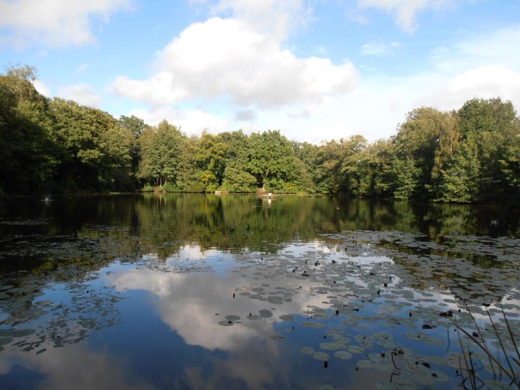 Our own fishing lake