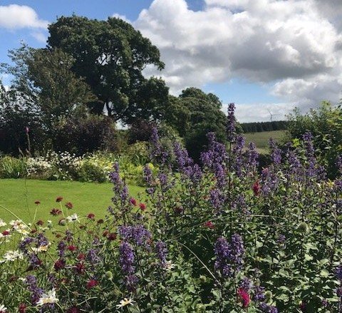 Lochfield Farm, cottages to let in Ayrshire