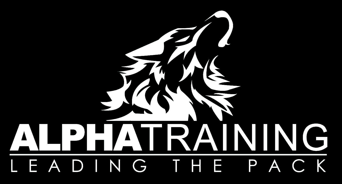 Fitness training program in Belfast | Alpha Training