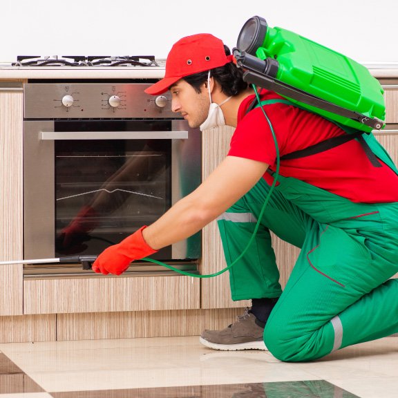 Crystal Clear Pest Control - Pest Control in Sydney