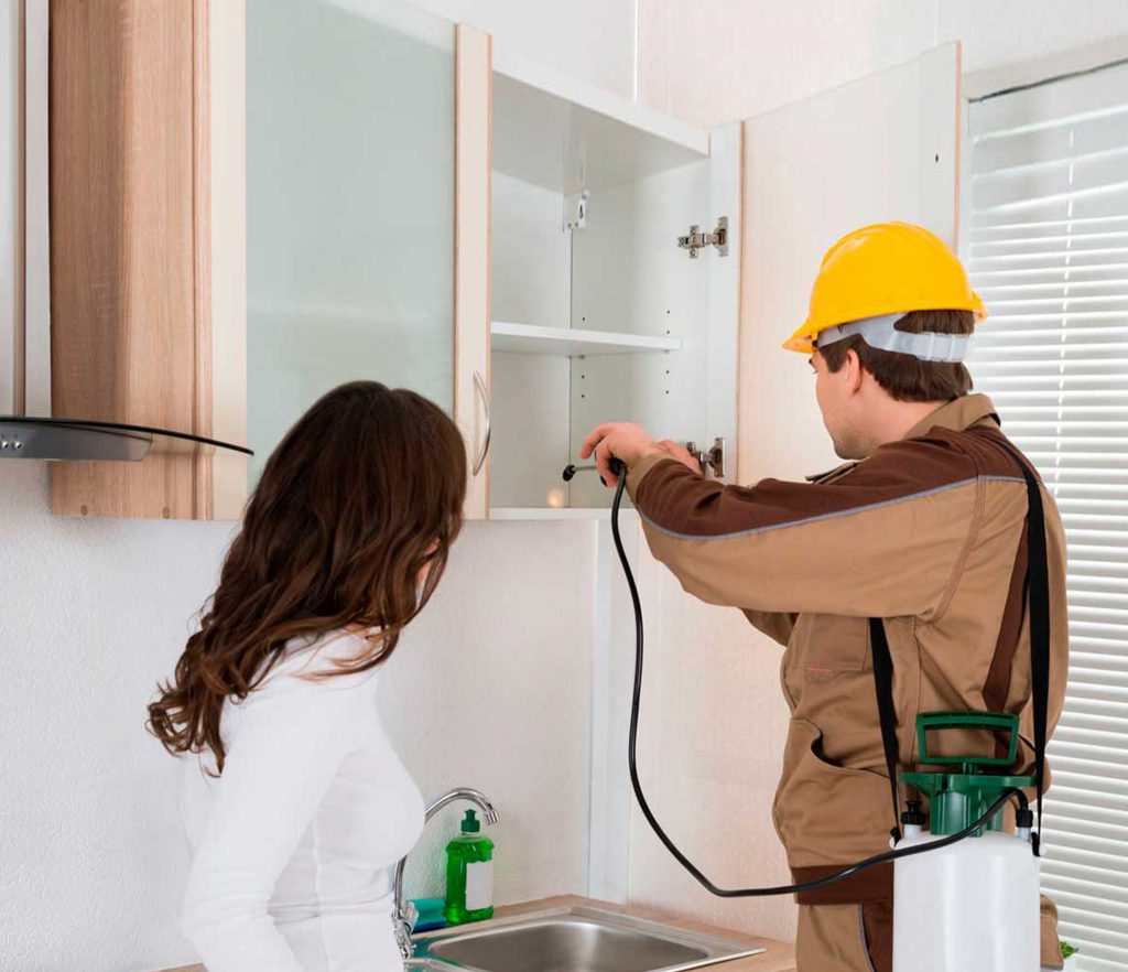 Crystal Clear Pest Control Project Gallery