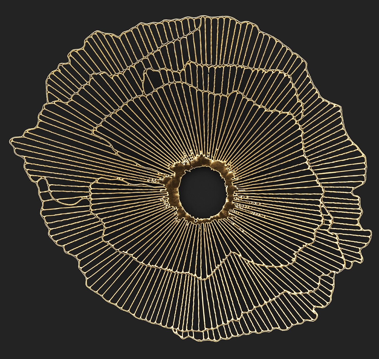 Quadros Abstratos - Mitra Molduras Quadros Personalizados