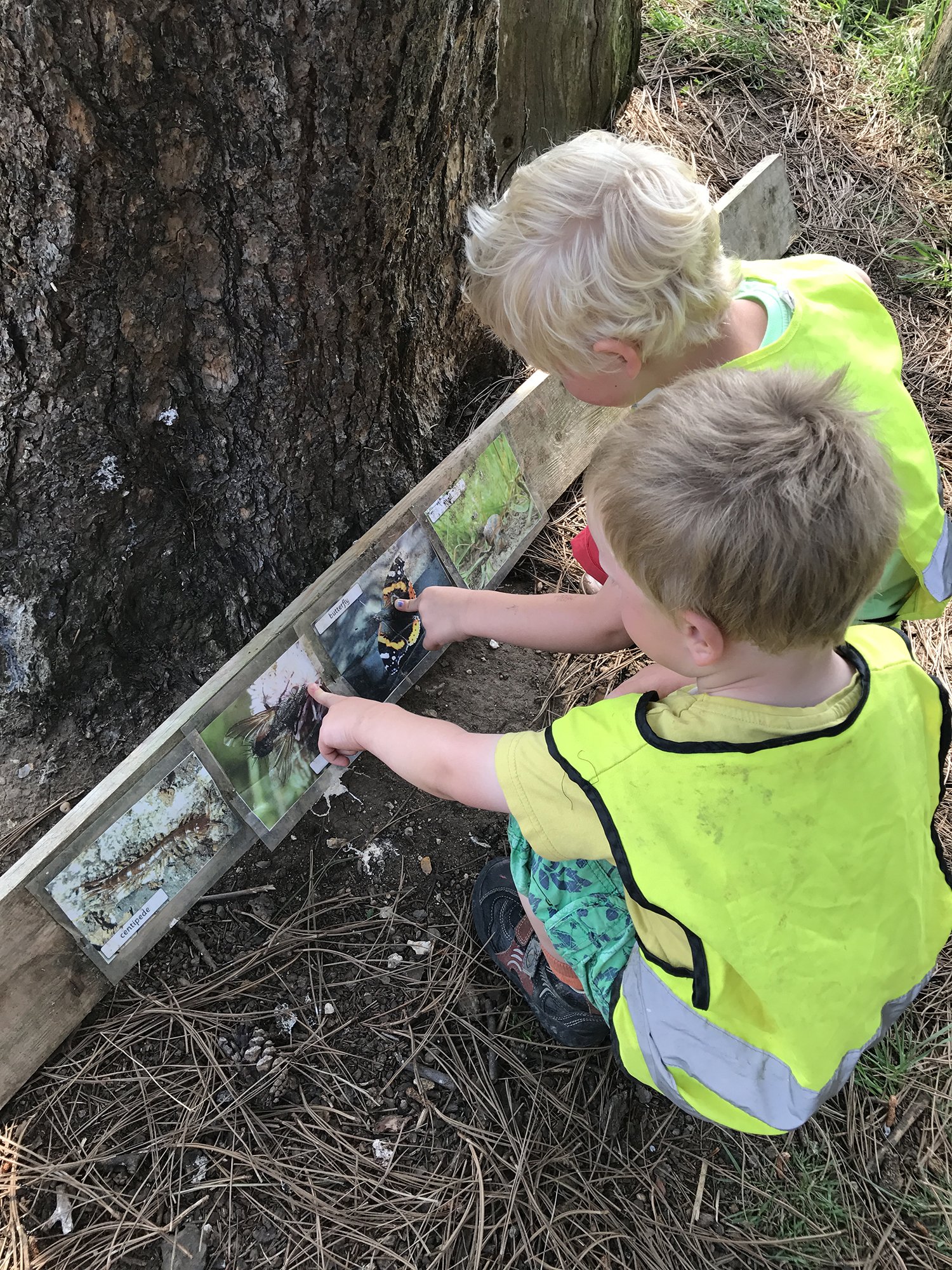 FOREST SCHOOL LESSONS | Harpers Nursery & Forest School