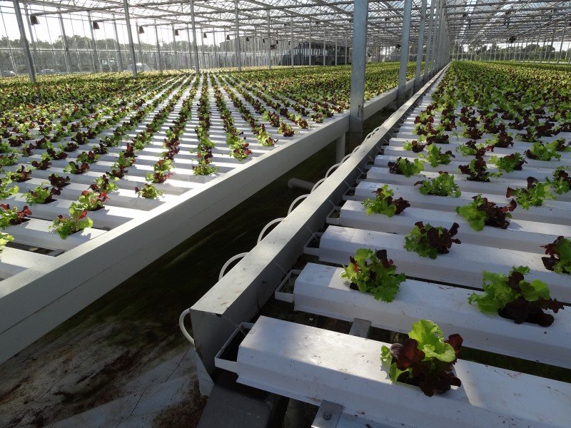 KG Systems - Rolling Benches