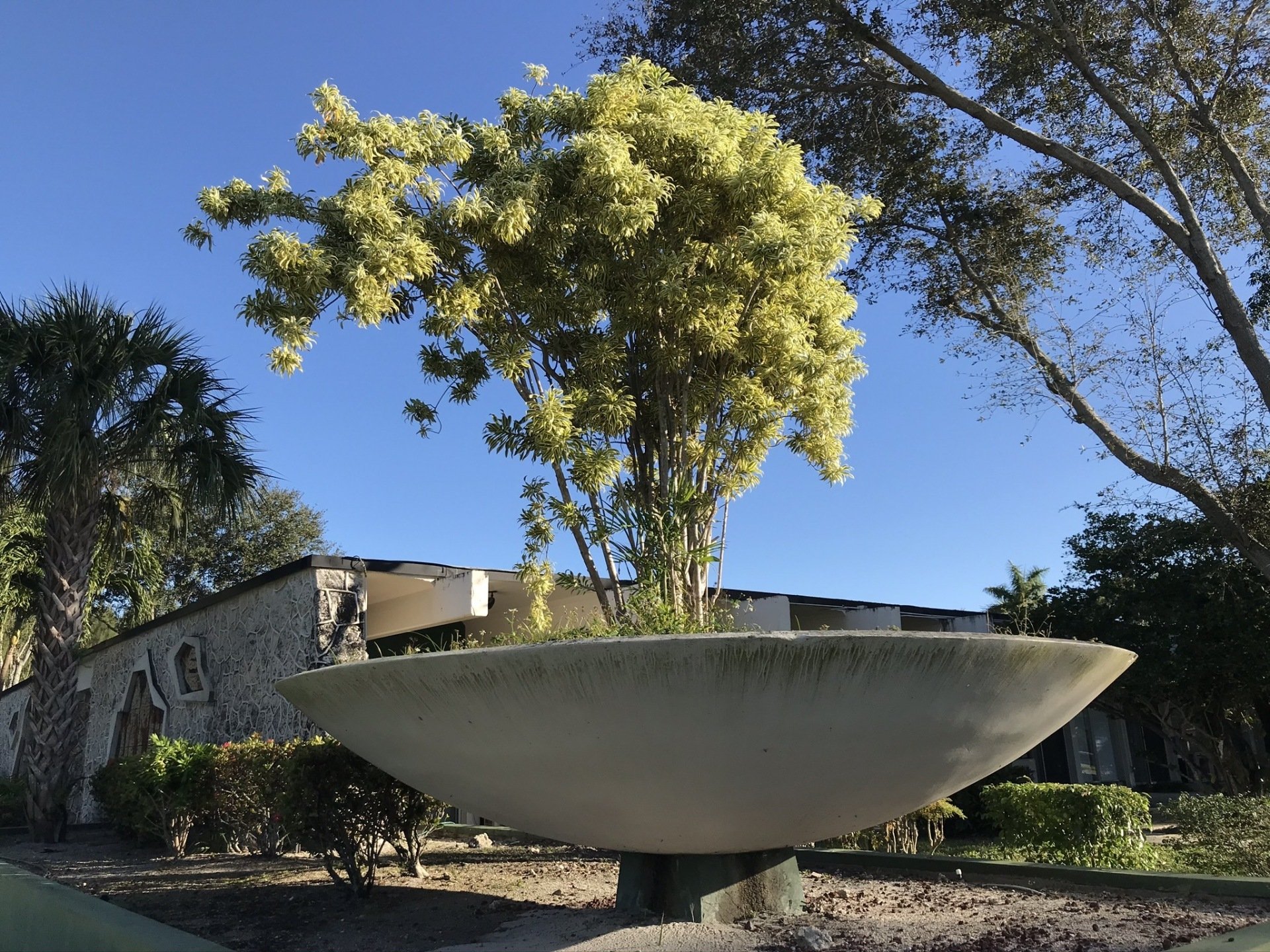 Marian Center School