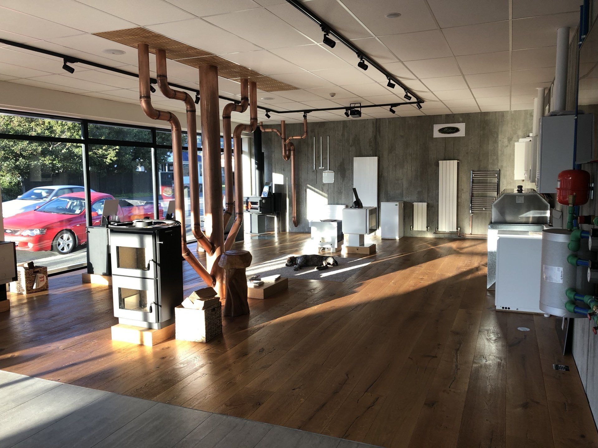 Plumber | Gasfitting | Drainage | Days Plumbing Nelson