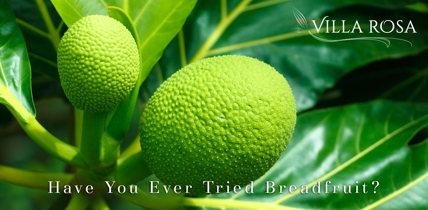 How To Eat Breadfruit