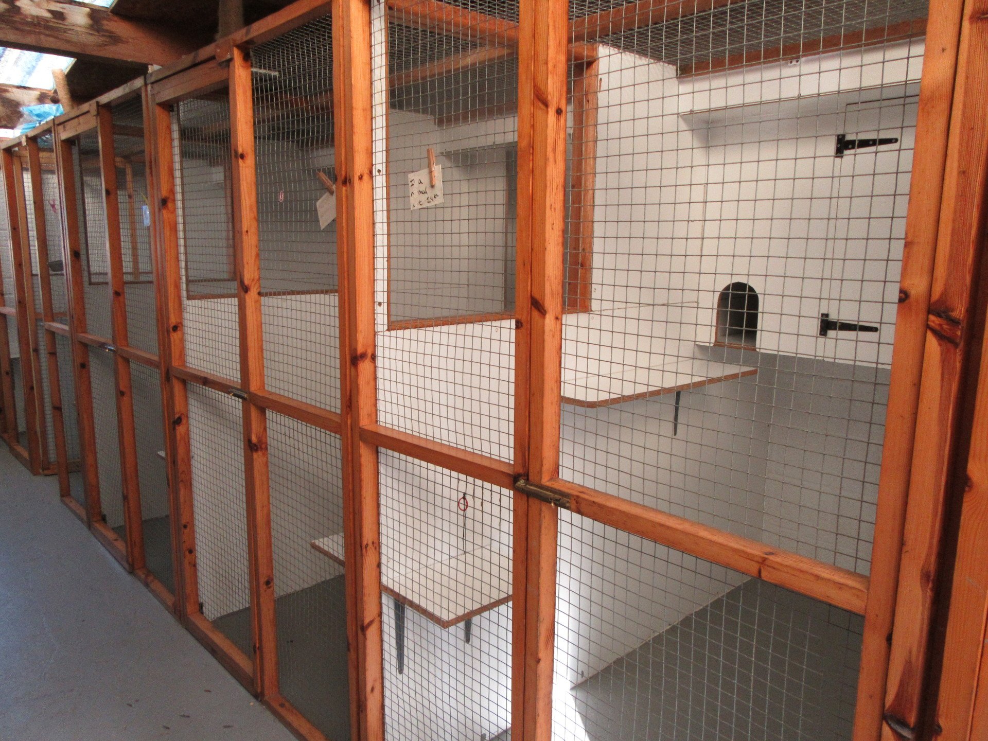 Cottage Kennels and Cattery | Gallery Photo's of our facilities