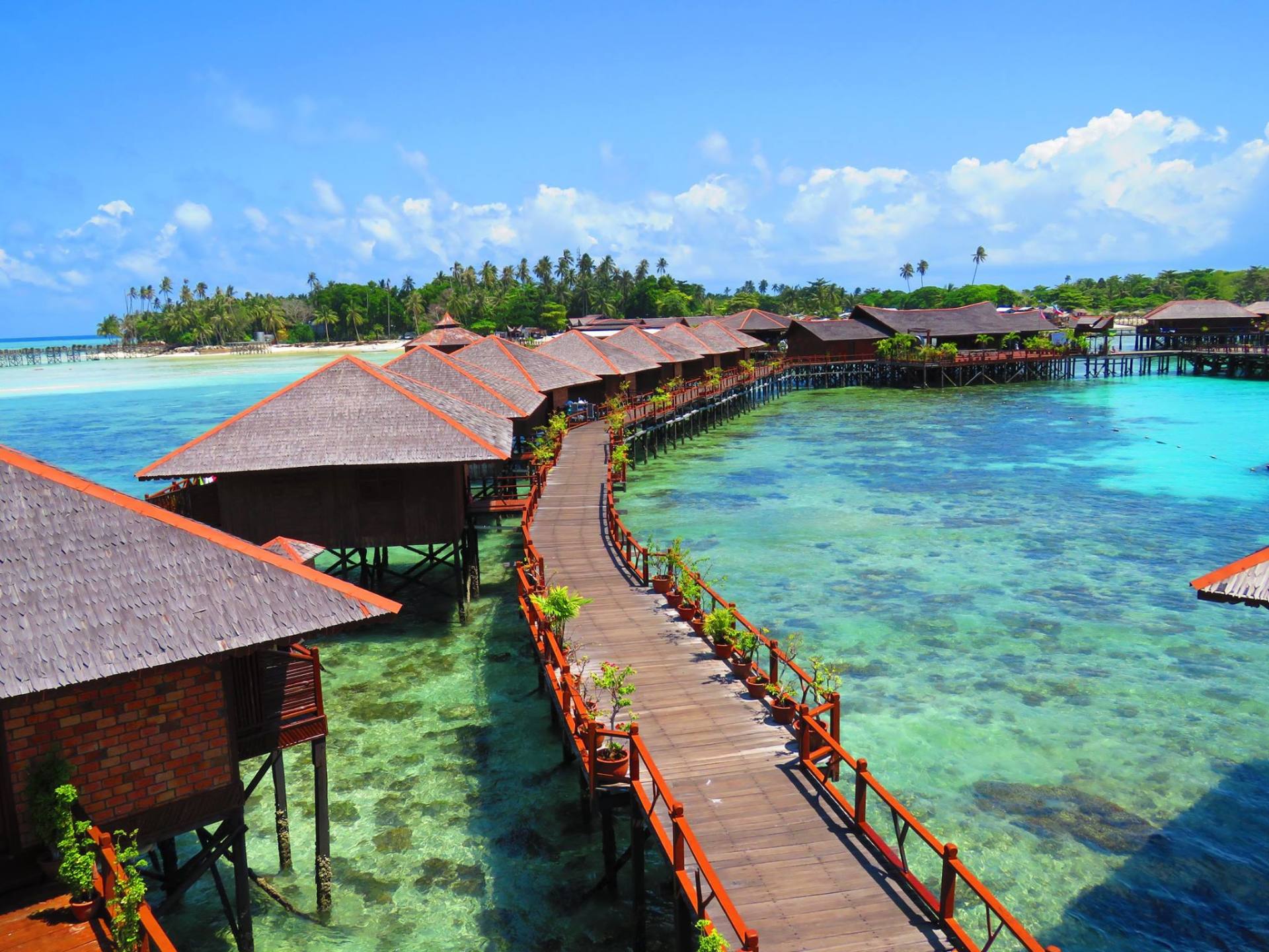 Lembeh Indonesia Group Trips 2023 | Lembeh & Siladen Resort