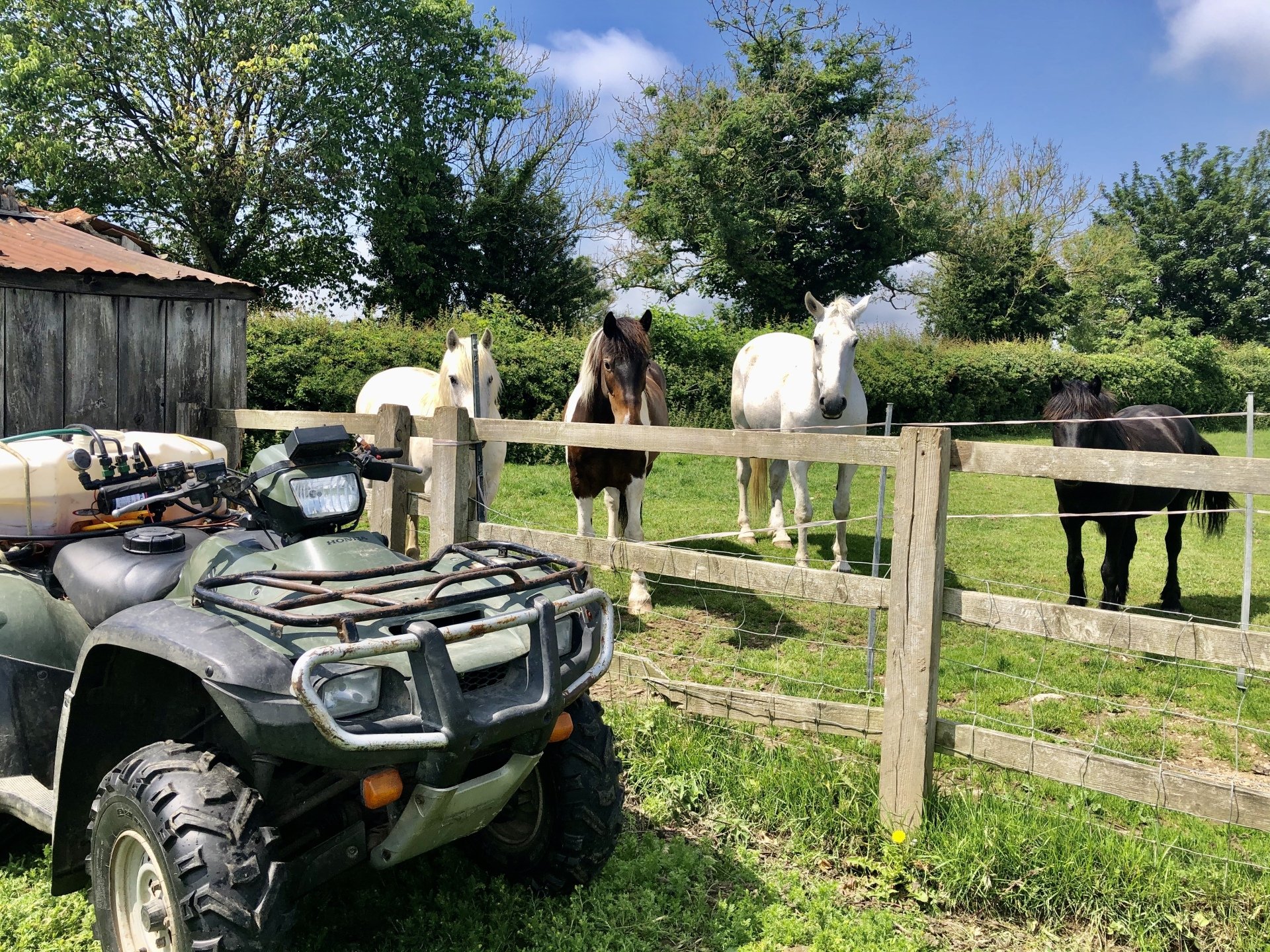 Paddock Maintenance