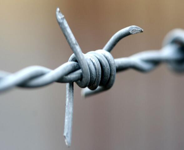 Barbed Wire Classification Made Simple