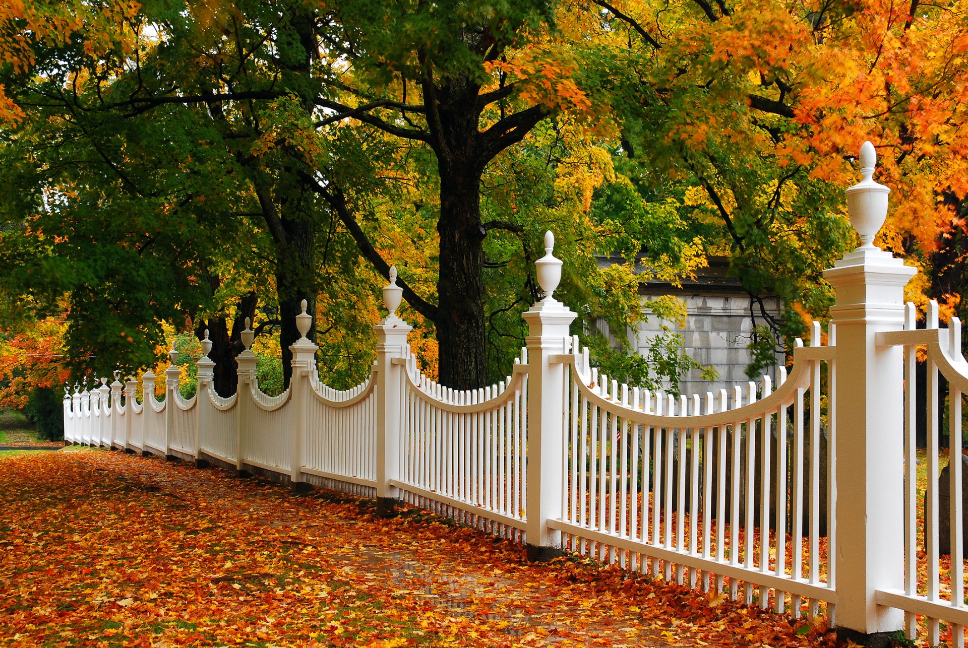 Active Fence | Hamburg & Buffalo, NY | Fence Company