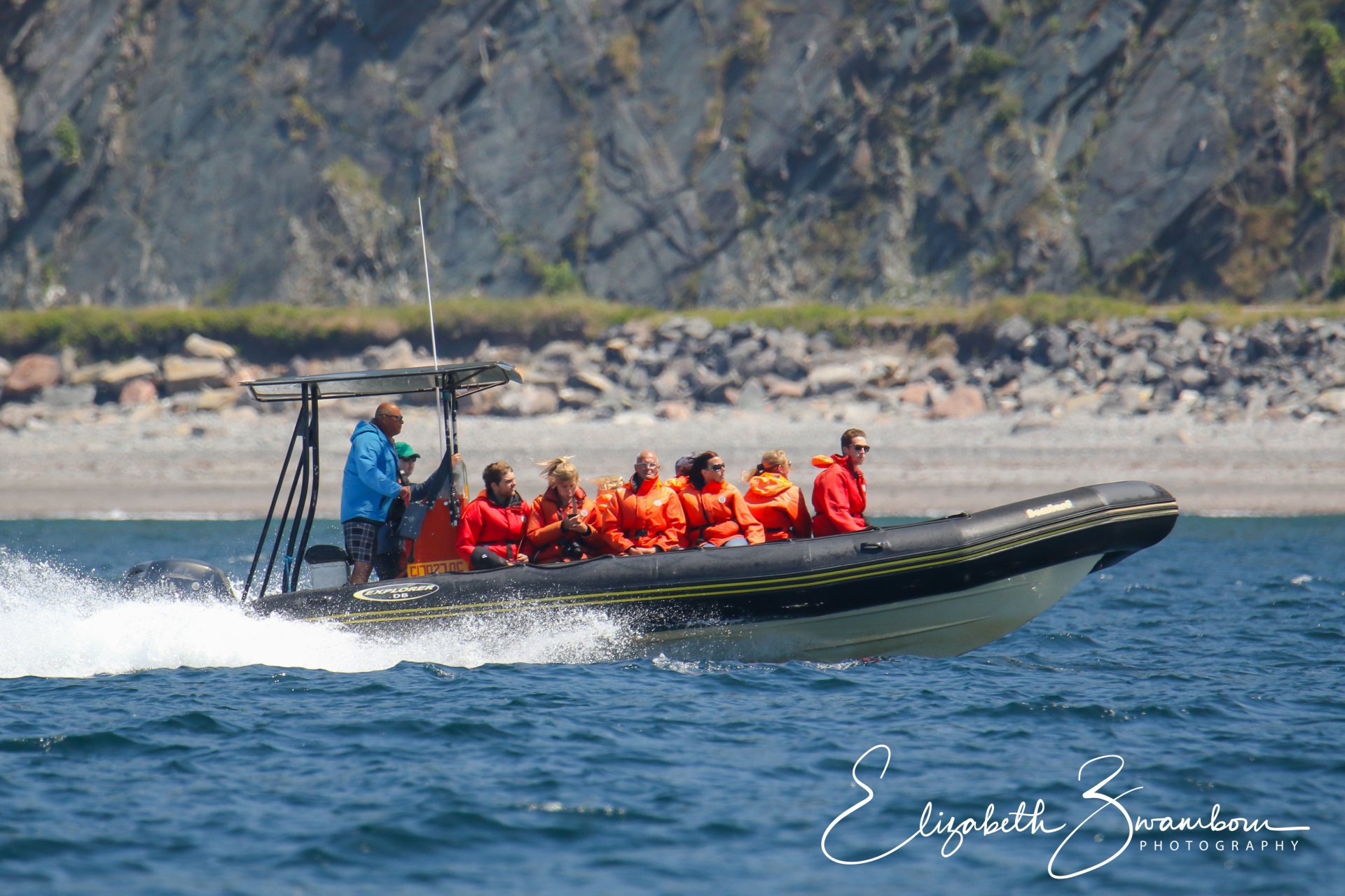 Captain Zodiac Whale Cruise