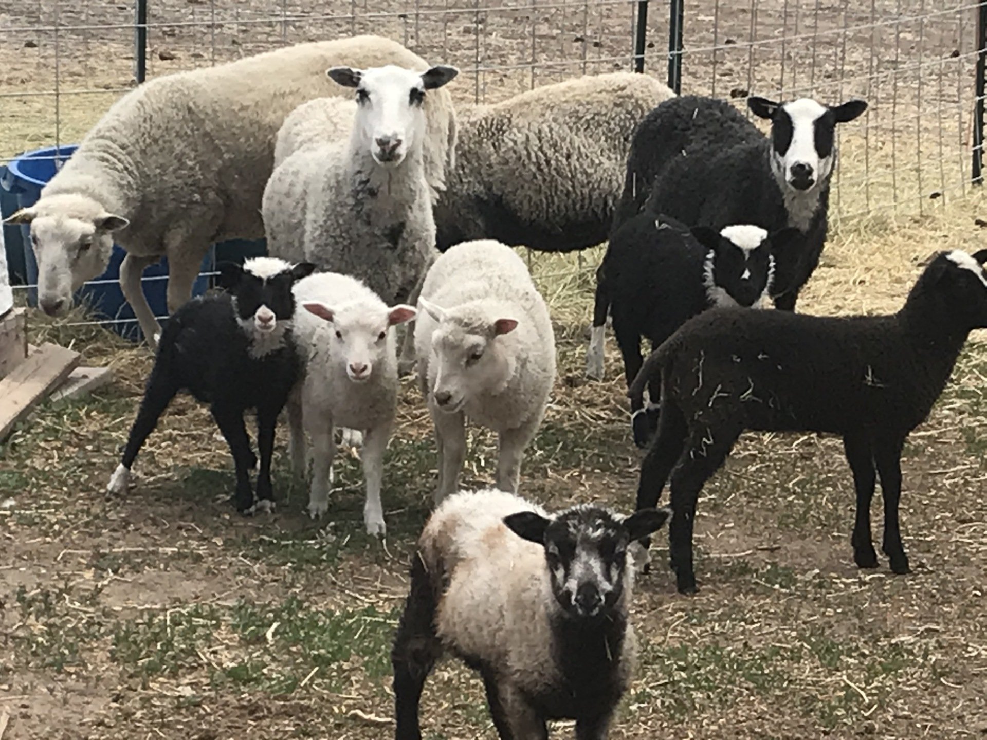 Wrapping Up 2020 at Vision Farms