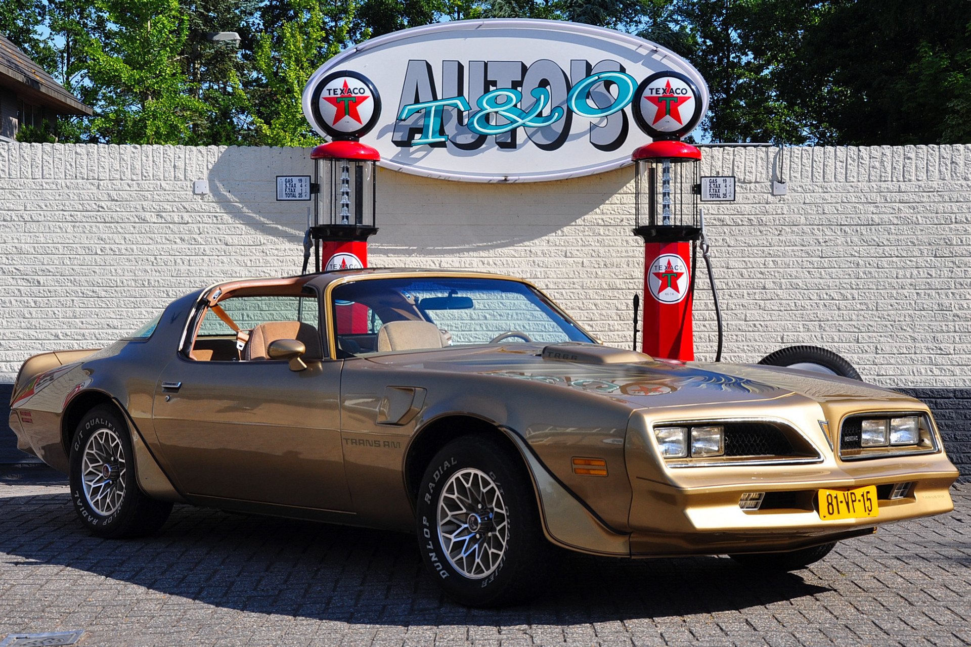 Pontiac Firebird Trans Am V8 Special Edition kopen? | T&O Auto's