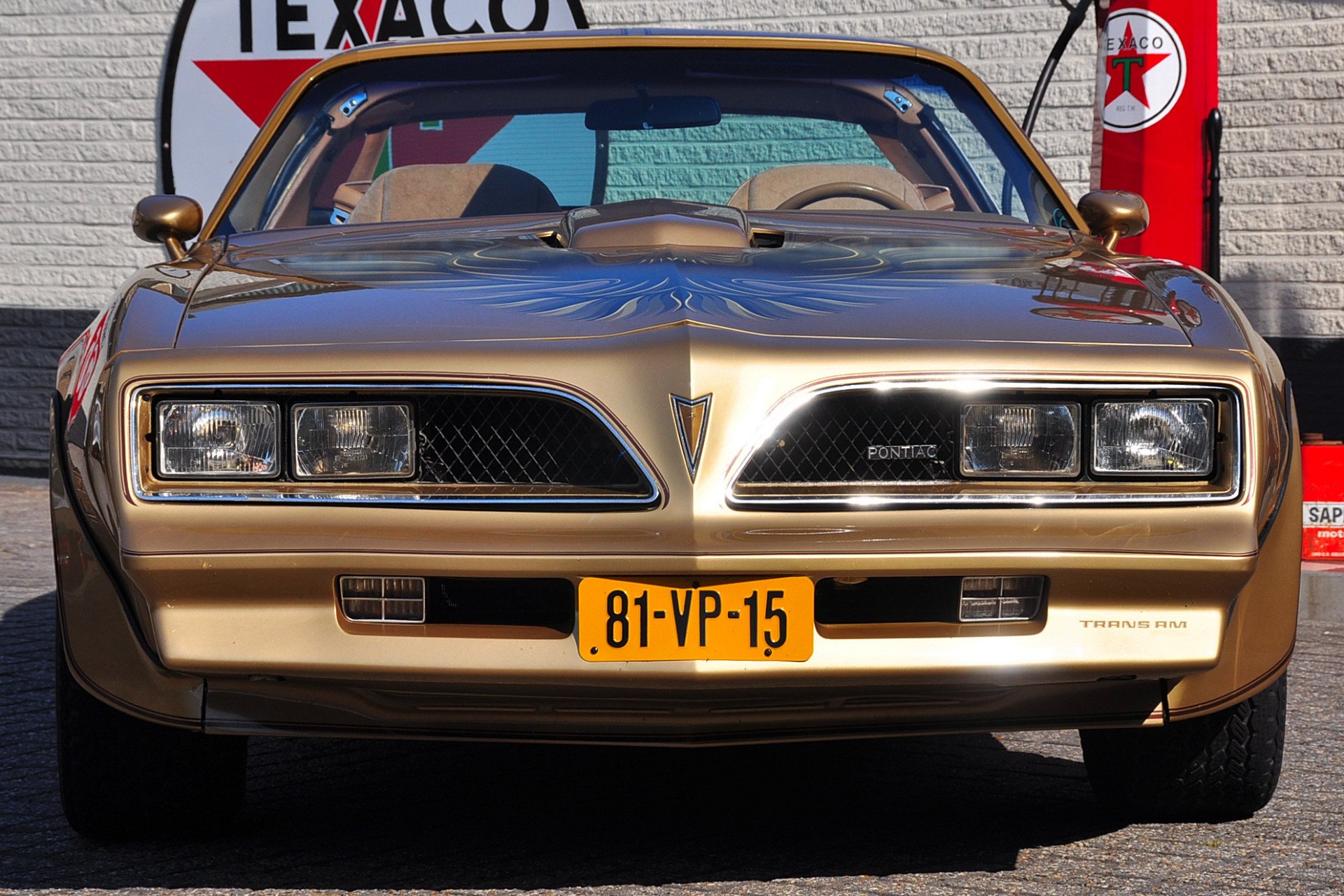 Pontiac Firebird Trans Am V8 Special Edition kopen? | T&O Auto's