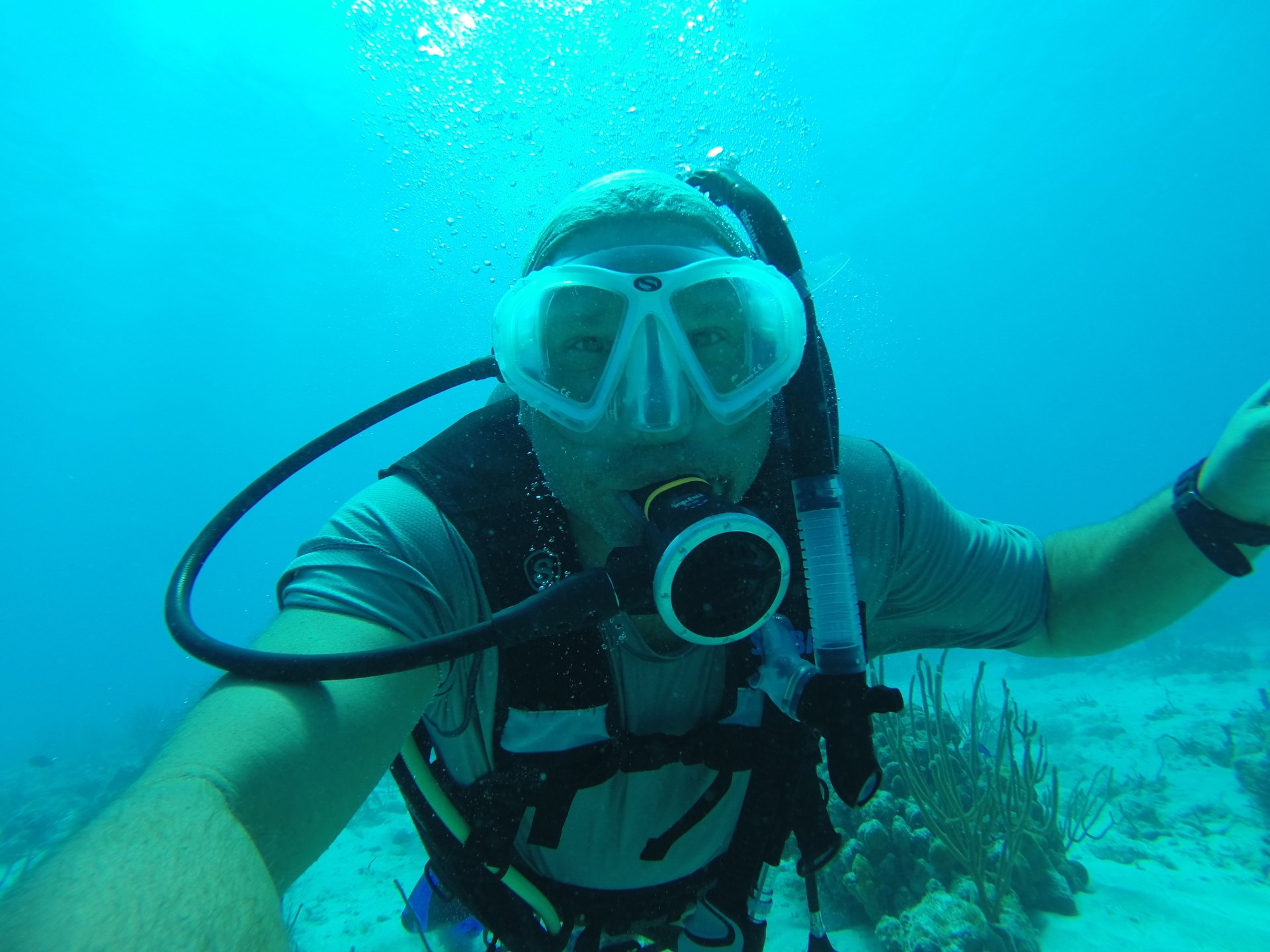 Sail the World with Gone Sailing Adventures