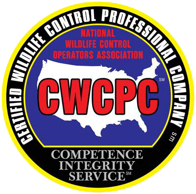 Pest Control | Southern New Jersey | SafeGUARD Termite & Pest Control