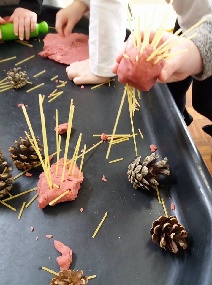 Home of Hedgehogs Day Nursery, Hedgehogs Preschool and Hedgehogs Forest ...