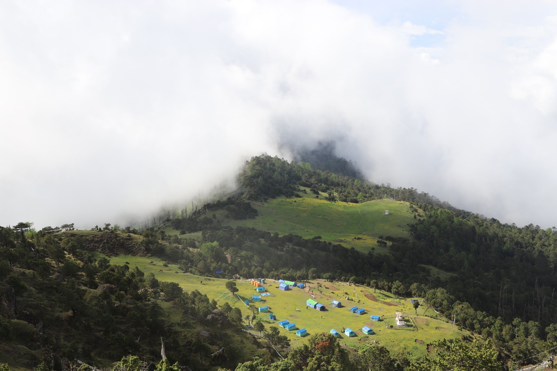 Overnight Bumdra Trek in Paro