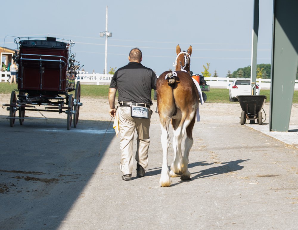 Photo Gallery - Trelane Farms