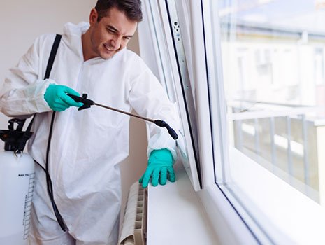 Pest Control | Sunrise, FL | Premier Exterminators