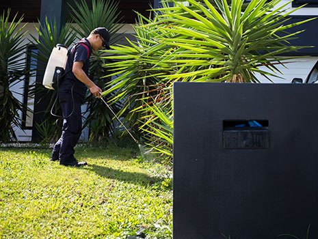 Pest Control | Sunrise, FL | Premier Exterminators