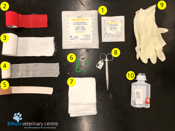 First Aid | Bilton Veterinary Centre