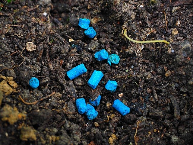 Common Poison Advice | Bilton Veterinary Centre