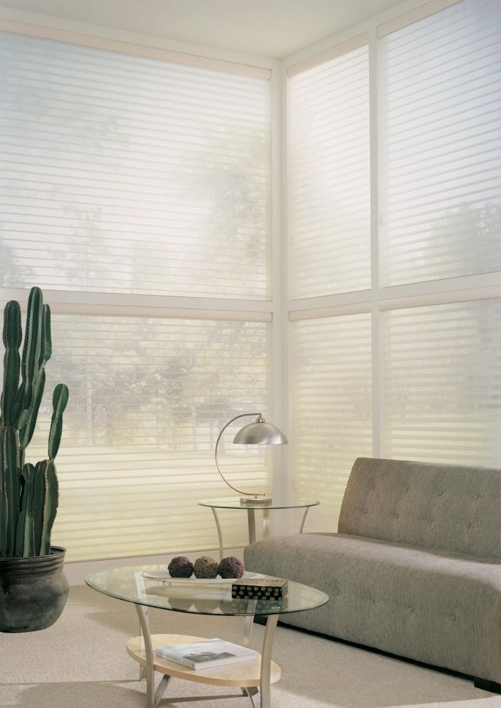 WINDOW SHADINGS