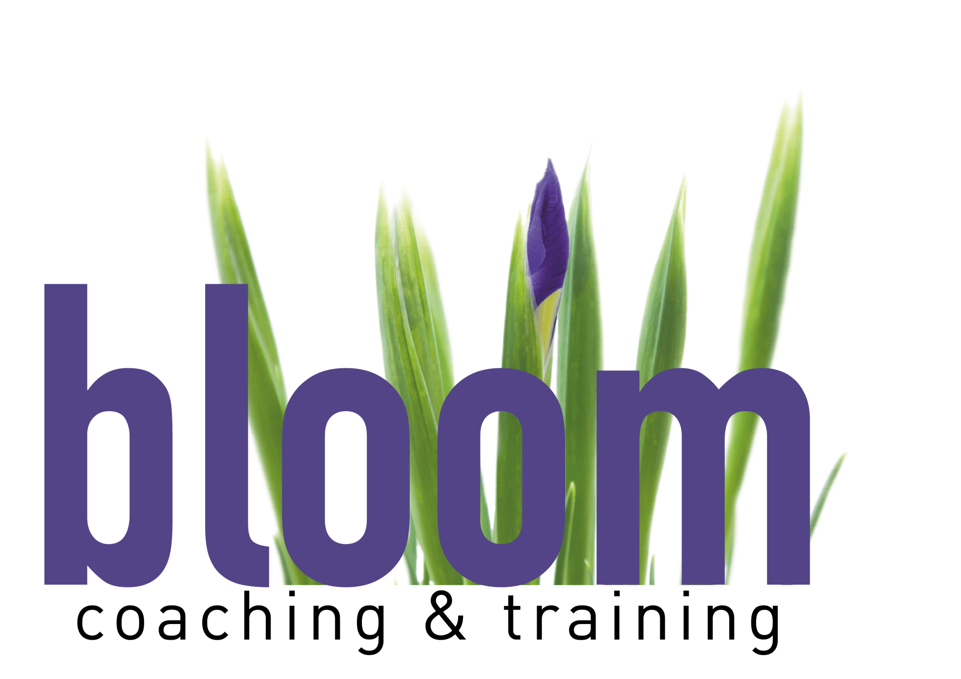 Bloom Coaching & Training