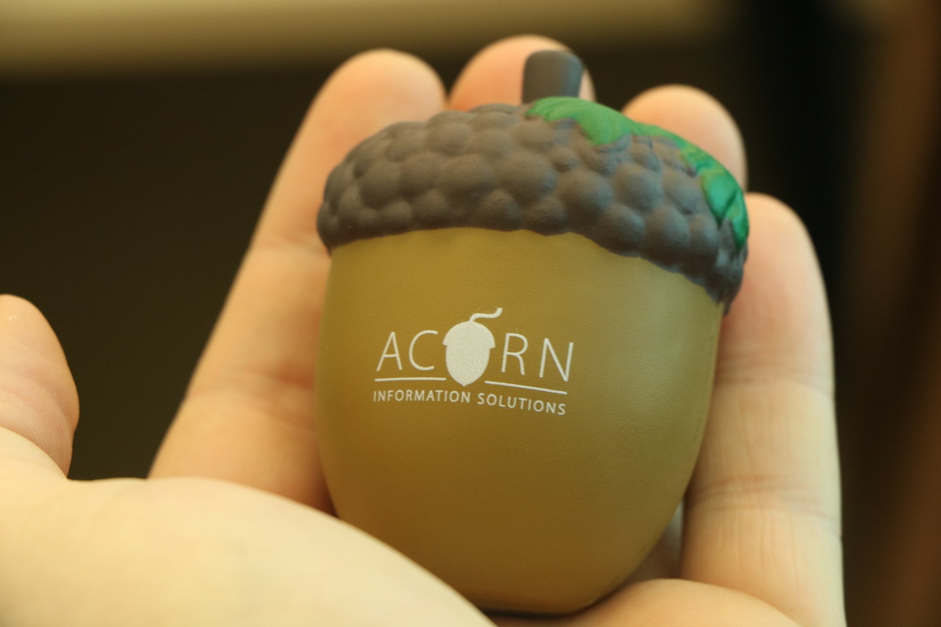 ACORN INFORMATION SOLUTIONS @ THE SAULT STE. MARIE INNOVATION CENTRE