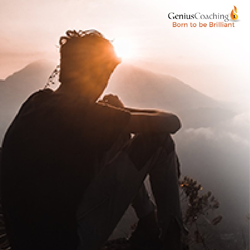Genius Coaching: Born to Be Brilliant!