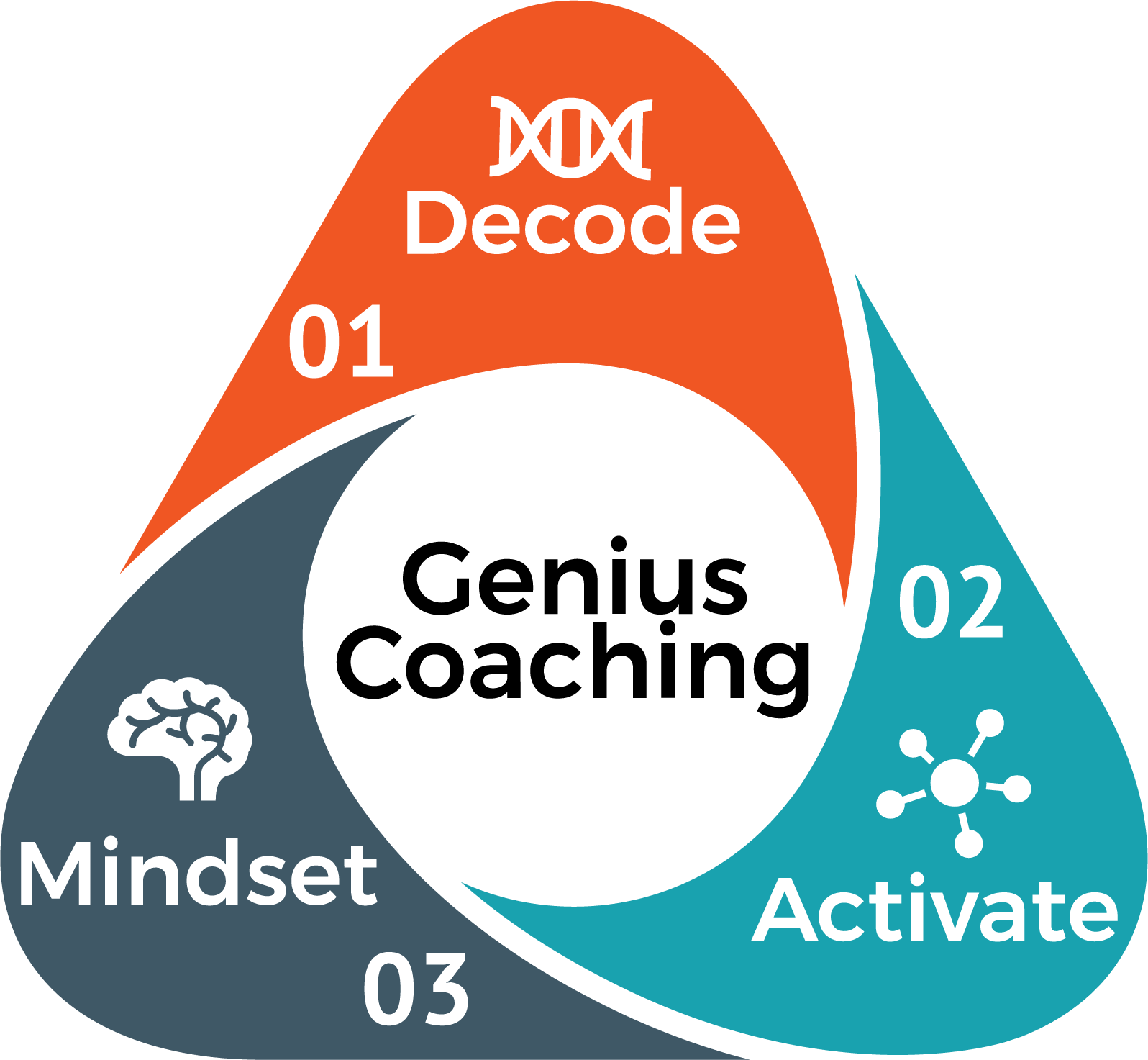 Genius Coaching: Born to Be Brilliant!