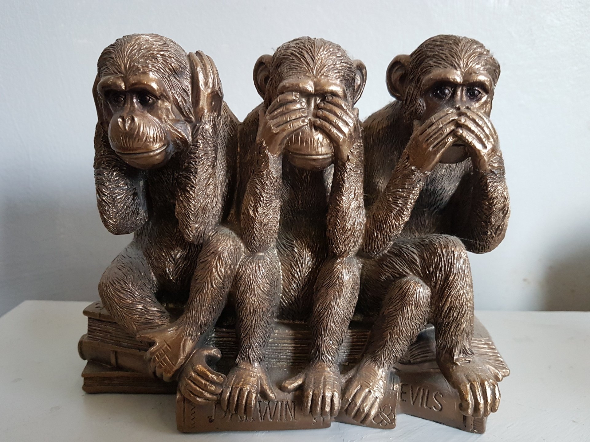 The Choices4Change Domestic Violence Perpetrator treatment Programme