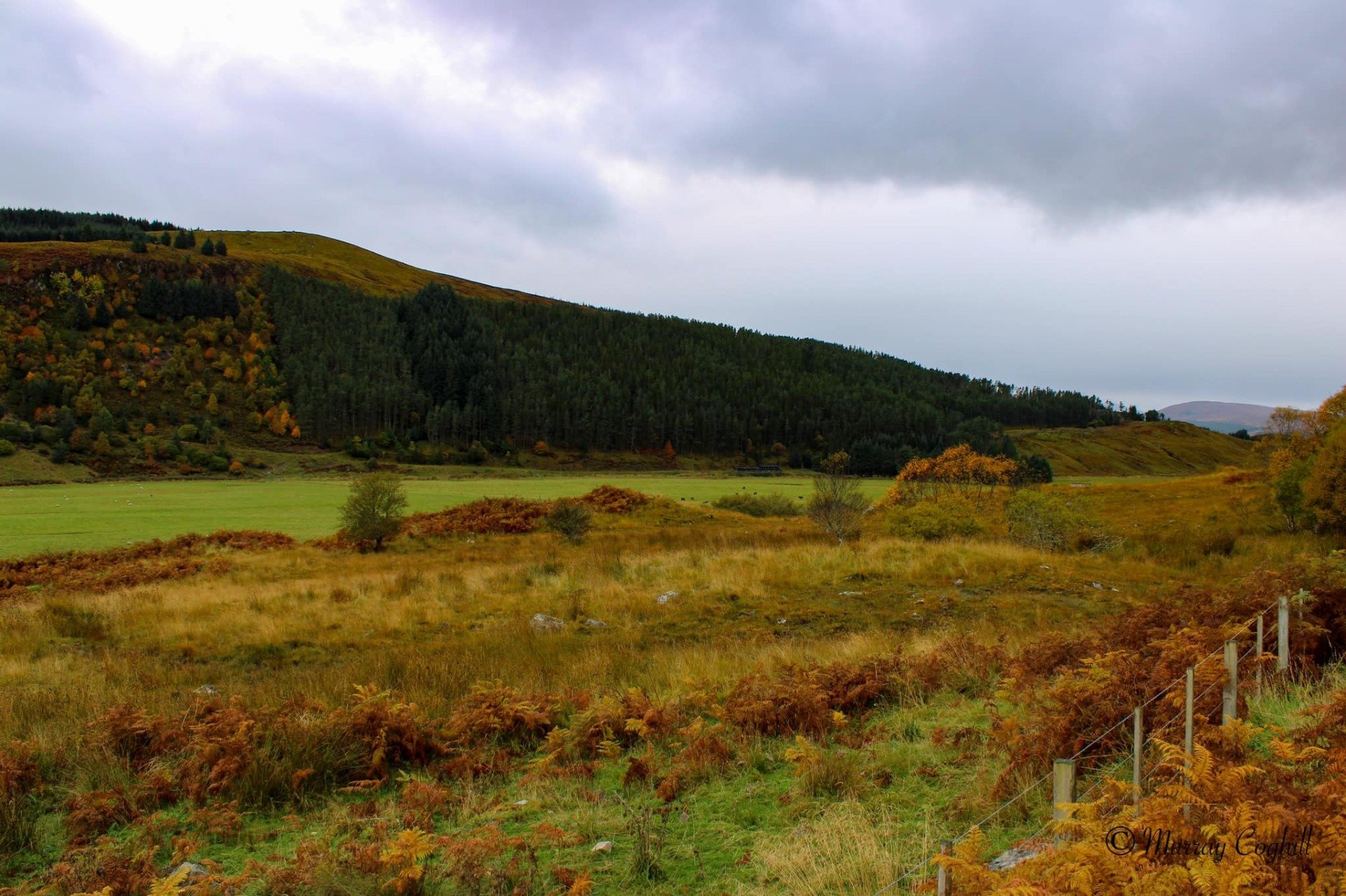 Things to do in Thurso | Manor House Thurso