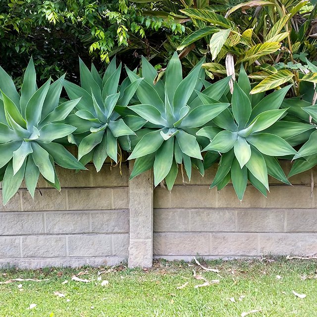 Outside Developments