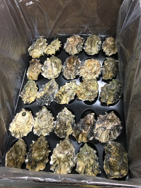 Products - Ocean Crystal Seafood